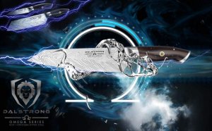 The Best Dalstrong Knife Review: A Detailed Look At This Stylish Brand.